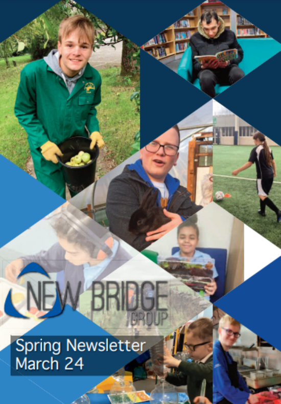 New Bridge Group - Home