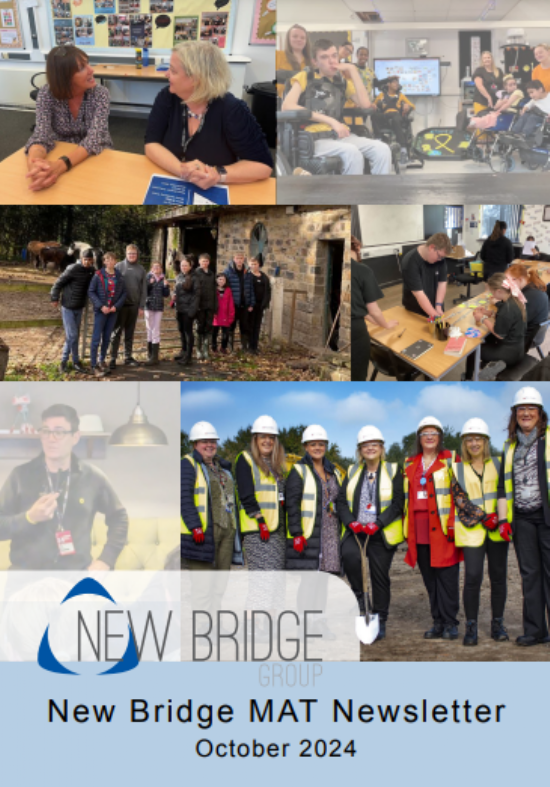 New Bridge Group - Home